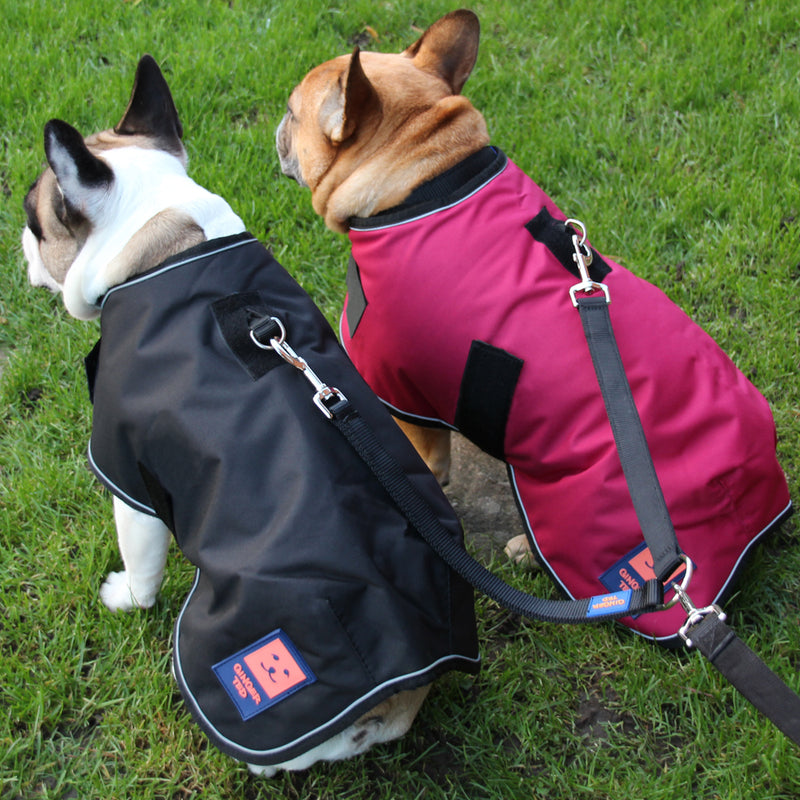 Ginger Ted Dog Clothing, Waterproof Dog Coats & Dog Jumpers