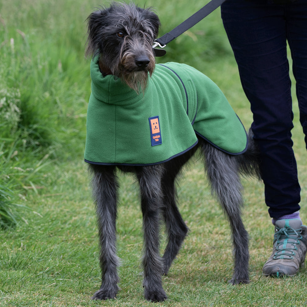 Ginger Ted Dog Clothing, Waterproof Dog Coats & Dog Jumpers