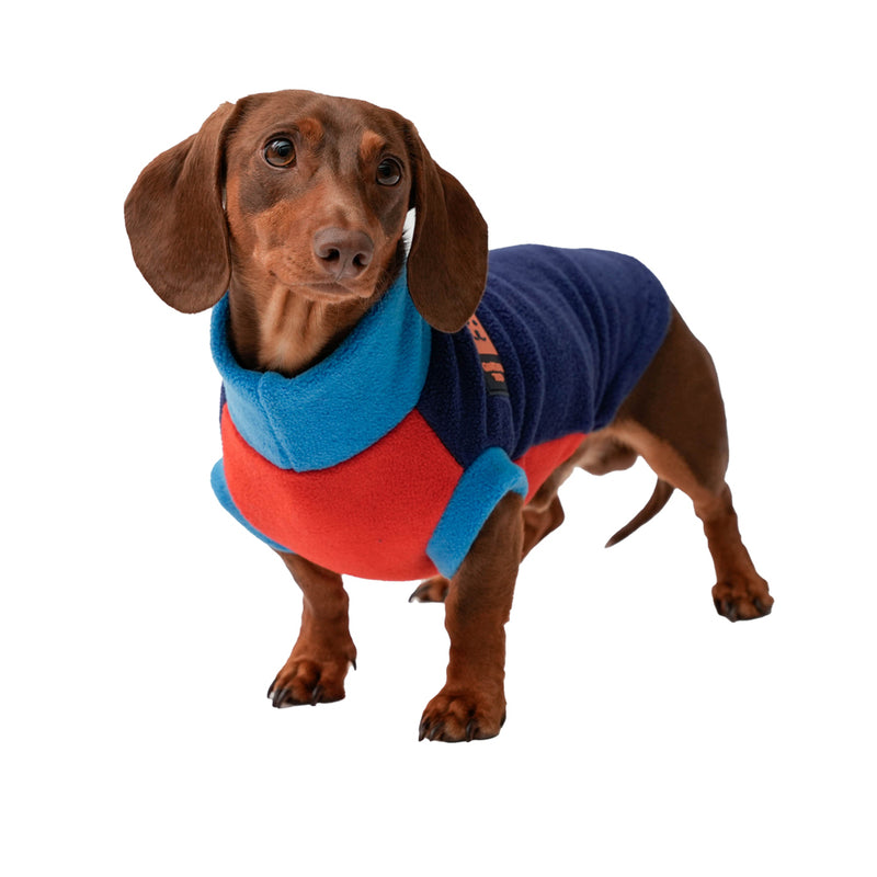 Ginger Ted Dog Clothing, Waterproof Dog Coats & Dog Jumpers