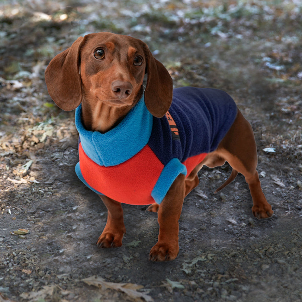 Ginger Ted Dog Clothing, Waterproof Dog Coats & Dog Jumpers