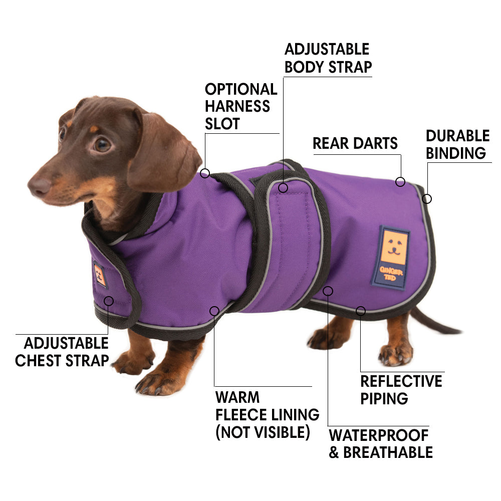 Waterproof Dog Coats, Clothing & Jackets | Ginger Ted - Ginger Ted Ltd