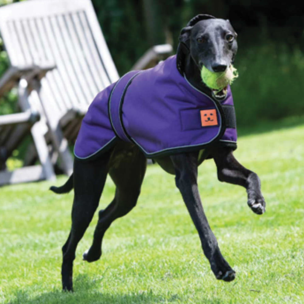 Ginger Ted Dog Clothing, Waterproof Dog Coats & Dog Jumpers