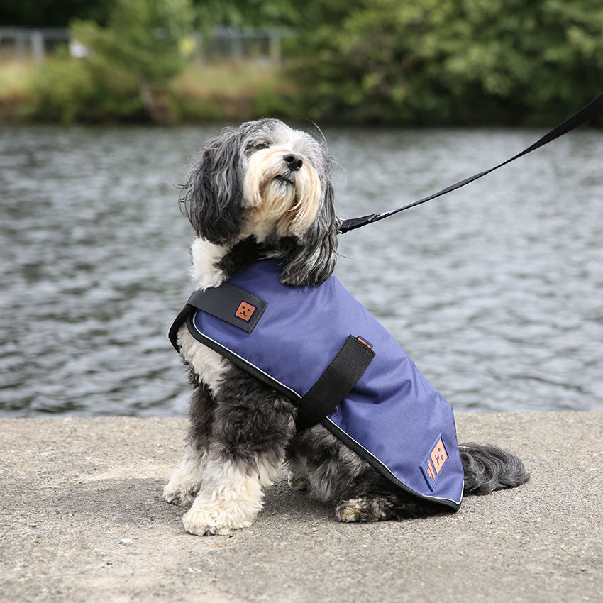 Ginger Ted Dog Clothing, Waterproof Dog Coats & Dog Jumpers