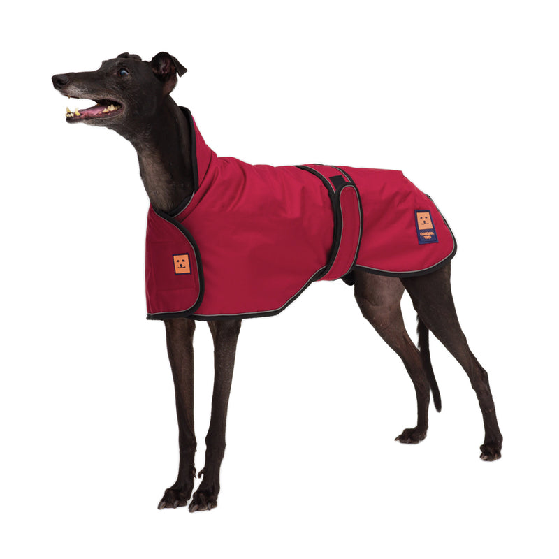 Shower Waterproof Greyhound Whippet Lurcher Coat | Ginger Ted - Ginger ...