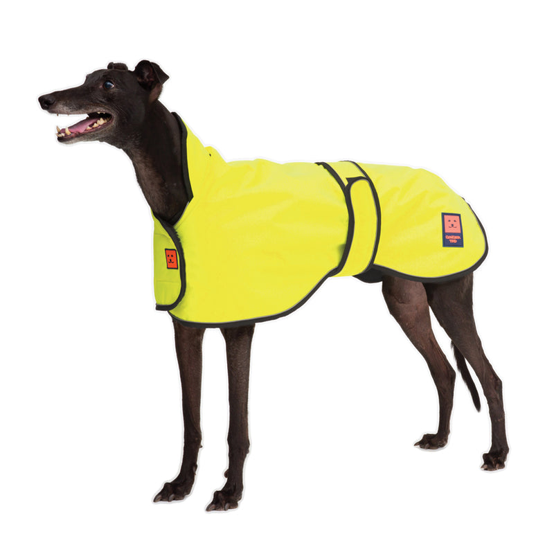 Shower Waterproof Greyhound Whippet Lurcher Coat | Ginger Ted - Ginger ...