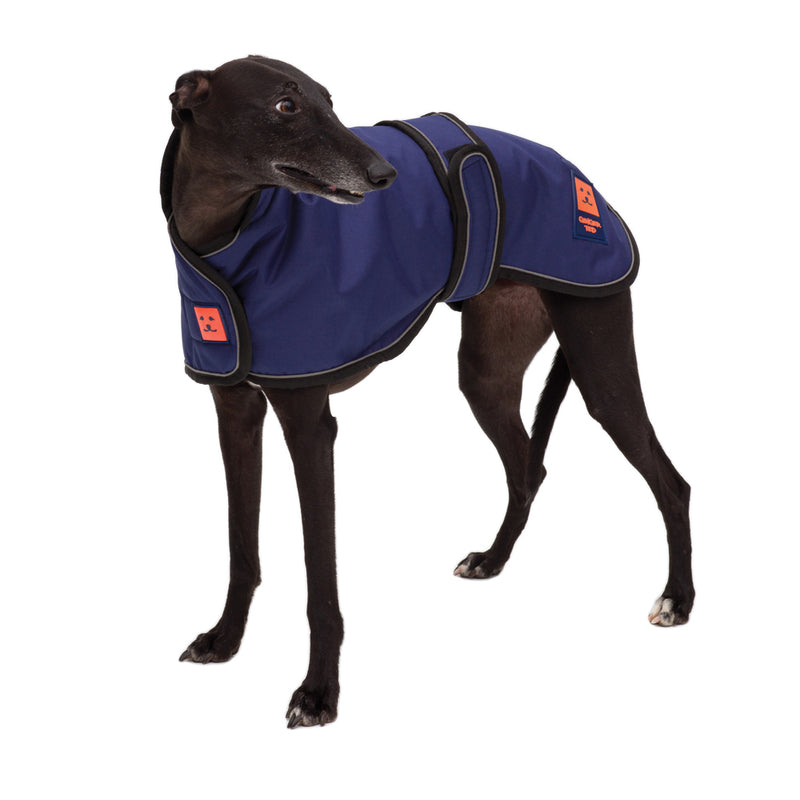 Shower Waterproof Greyhound Whippet Lurcher Coat | Ginger Ted - Ginger ...