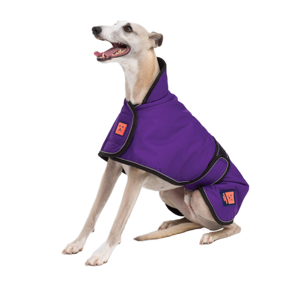 Shower Waterproof Greyhound Whippet Lurcher Coat | Ginger Ted - Ginger ...